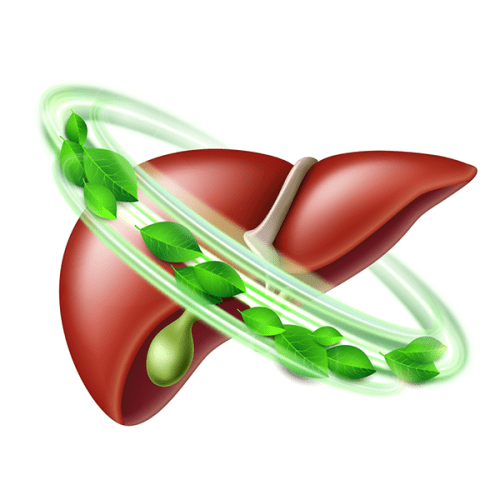 Live-SG Complex tablets, Herbal Liver Detox